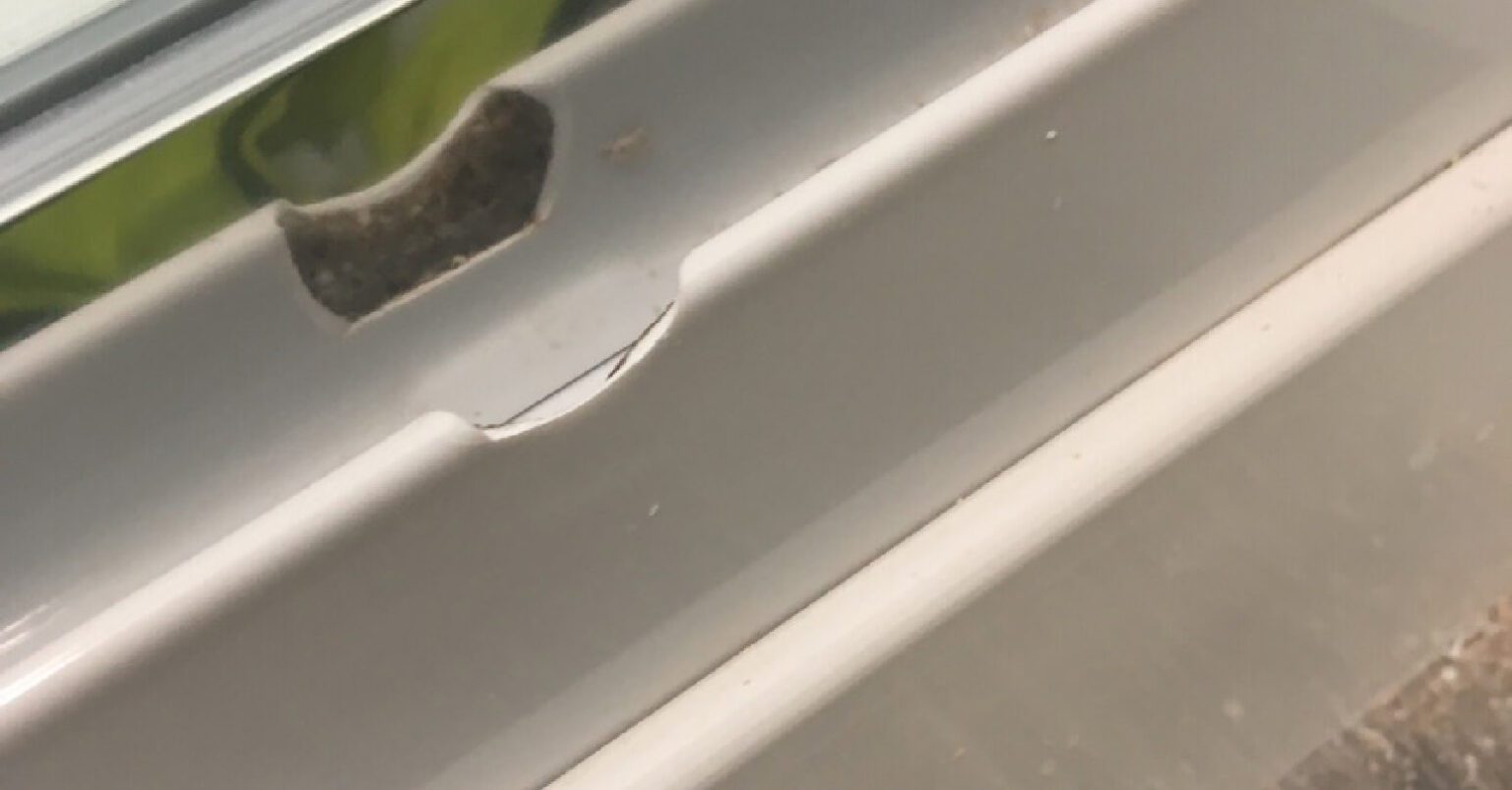 Why Professional Shower Tray Crack Repair Services Are Essential for ...